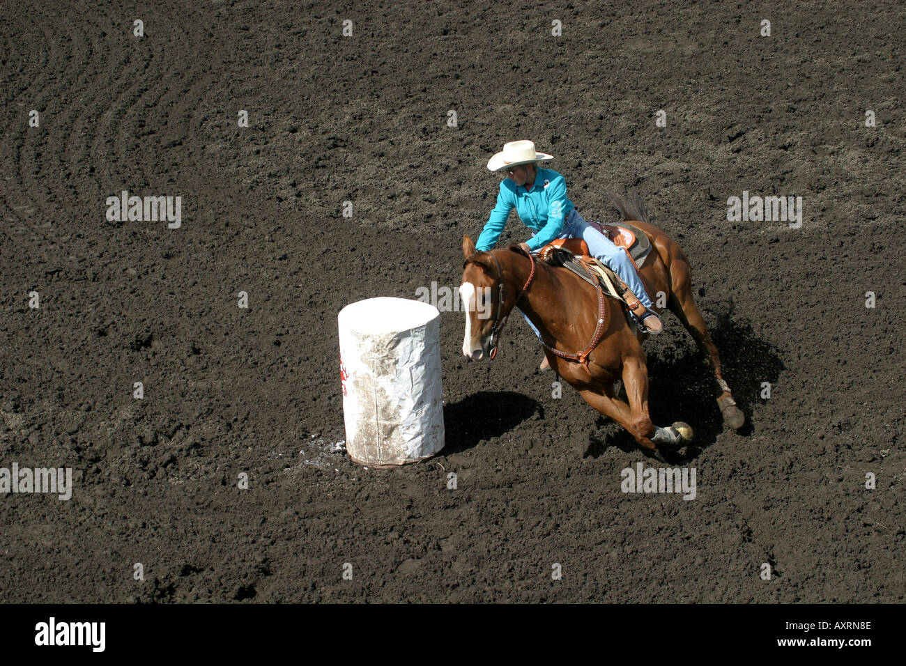 Rodeo , Alberta, Canada, Barrel racing. competing in a fast and furious ...