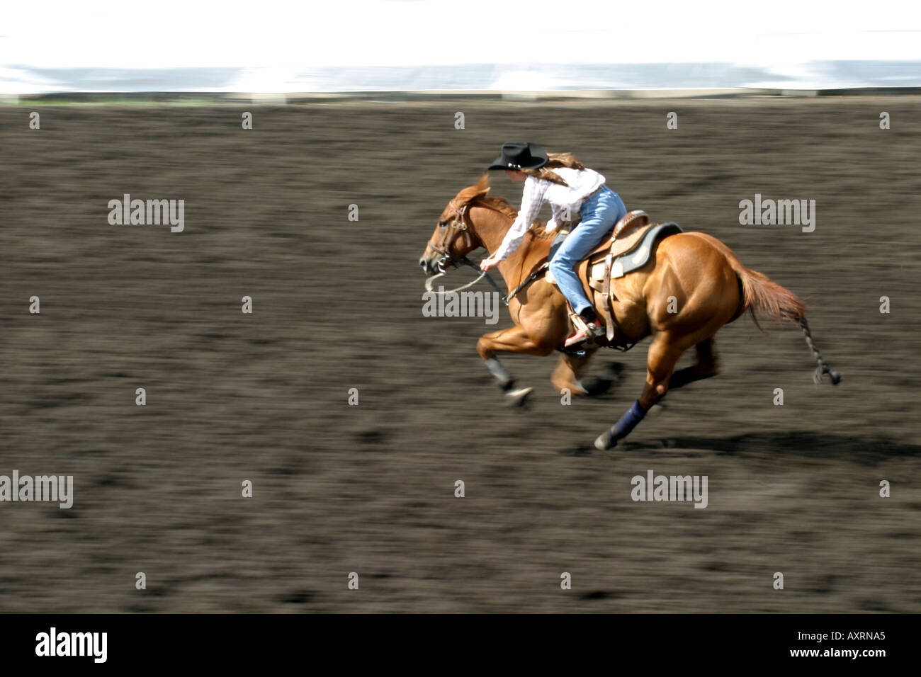 Rodeo , Alberta, Canada, Barrel racing. Racing to the finish line ...