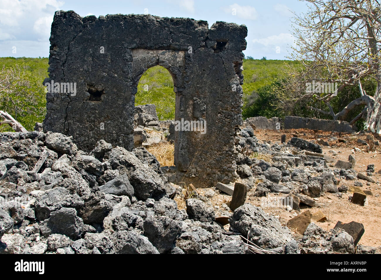 Songo Mnara Ruins, Tanzania, Africa, UNESCO site Stock Photo - Alamy