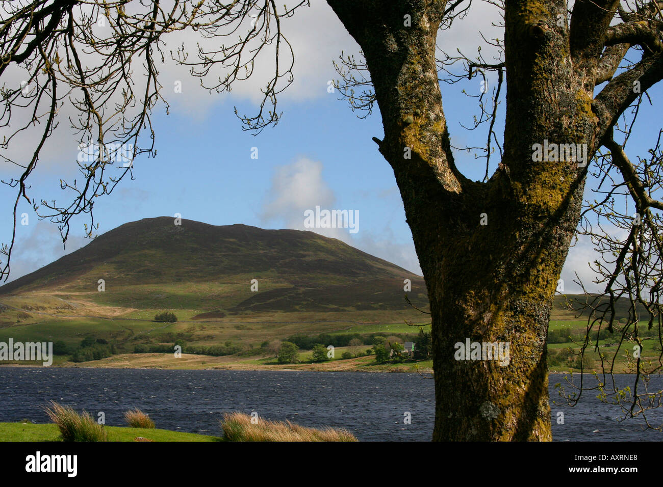 Llyn celyn hi-res stock photography and images - Alamy