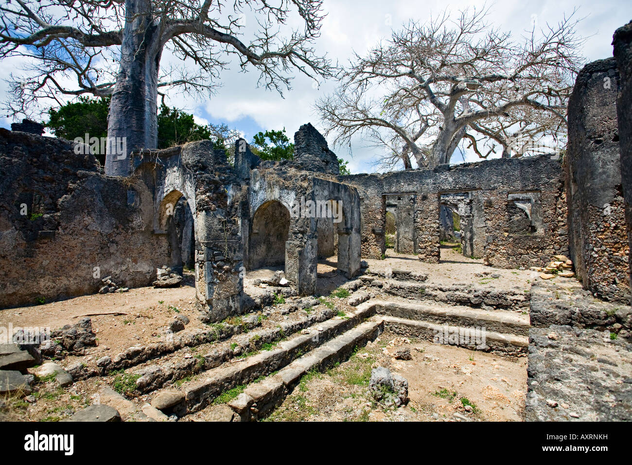 Songo Mnara Ruins, Tanzania, Africa, UNESCO site Stock Photo - Alamy
