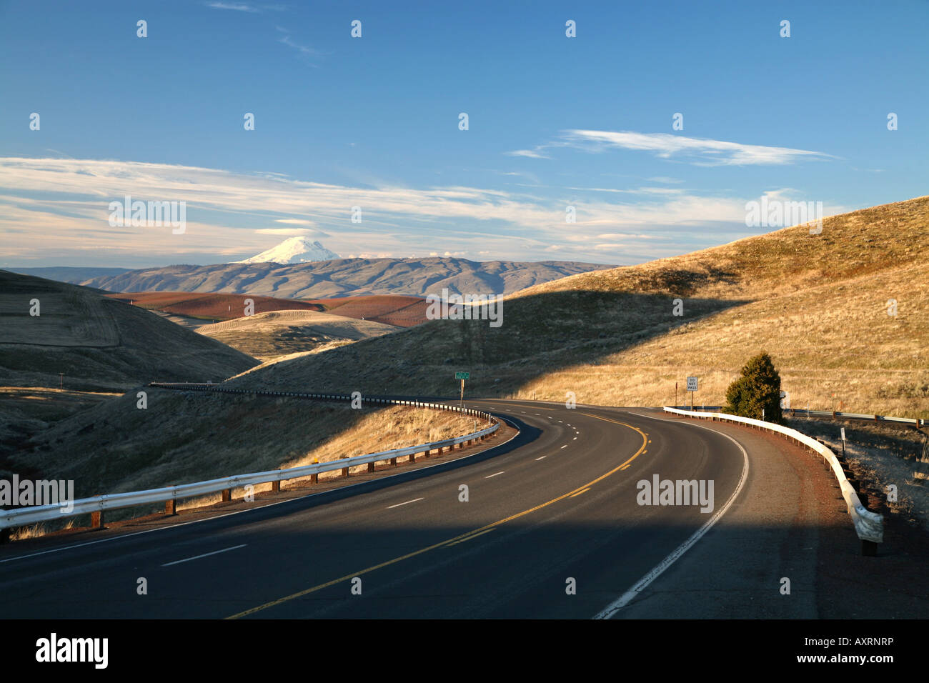 Oregon highway 197 curves off into the distance with Mt. Adams visible ...