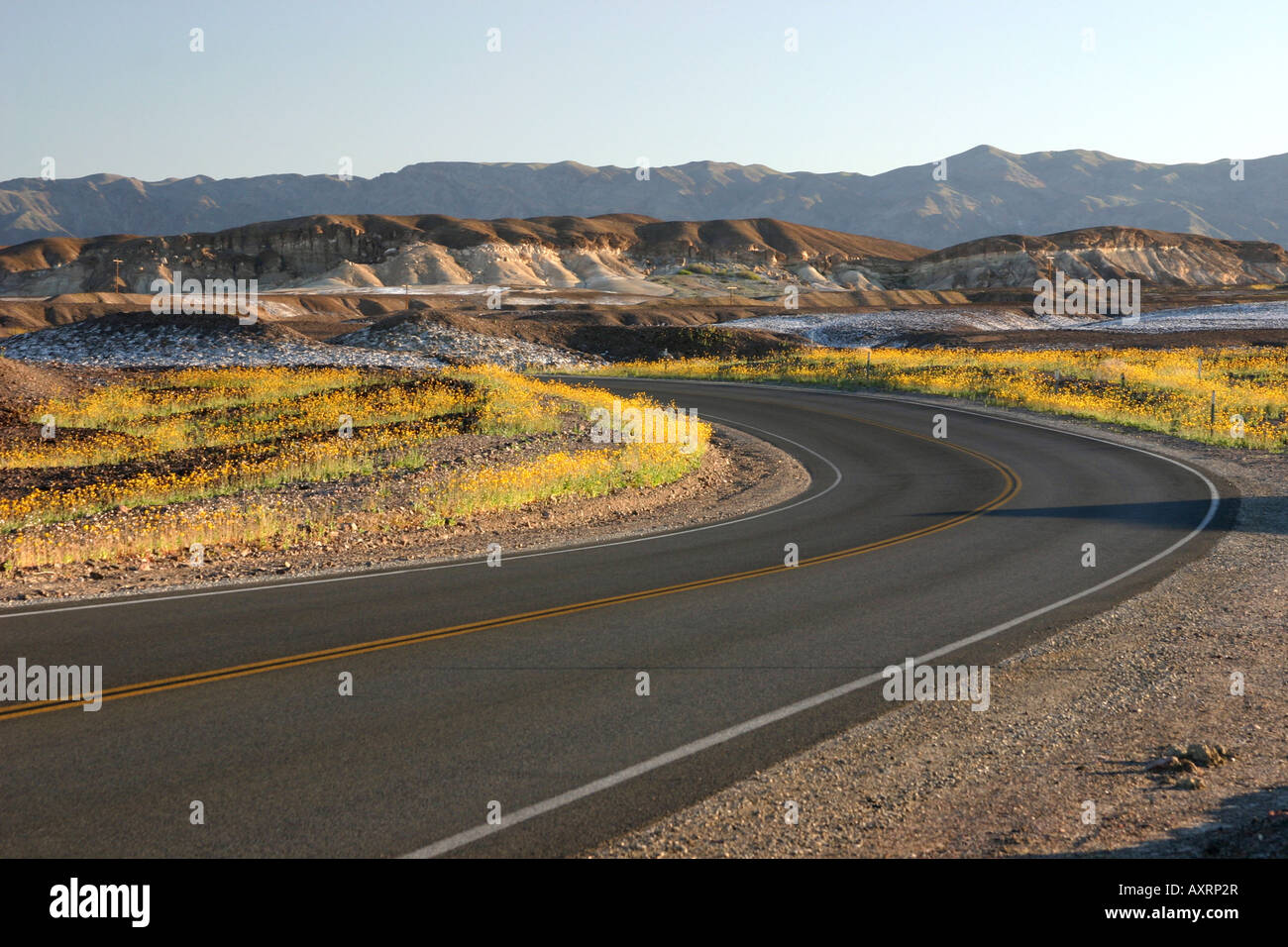 A curving stretch of desert highway in Death Valley during a spring ...