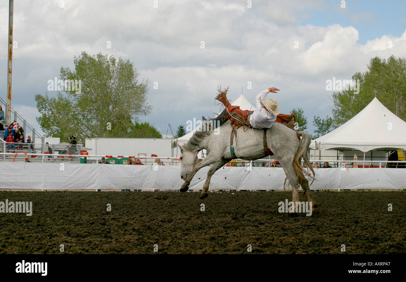 Rodeo, Alberta, Canada, Bronco Riding Stock Photo - Alamy