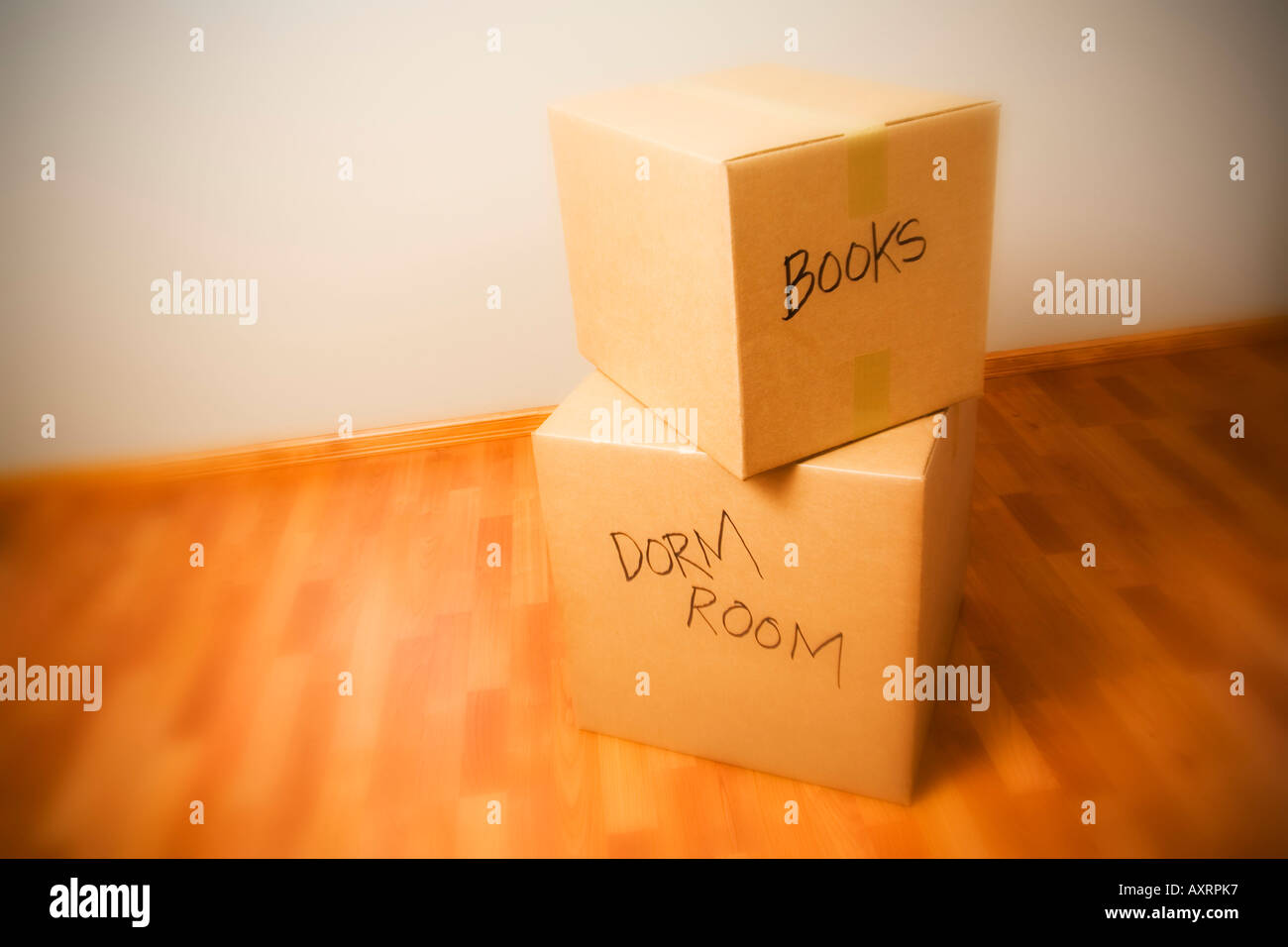 Moving boxes for a post secondary student Stock Photo - Alamy