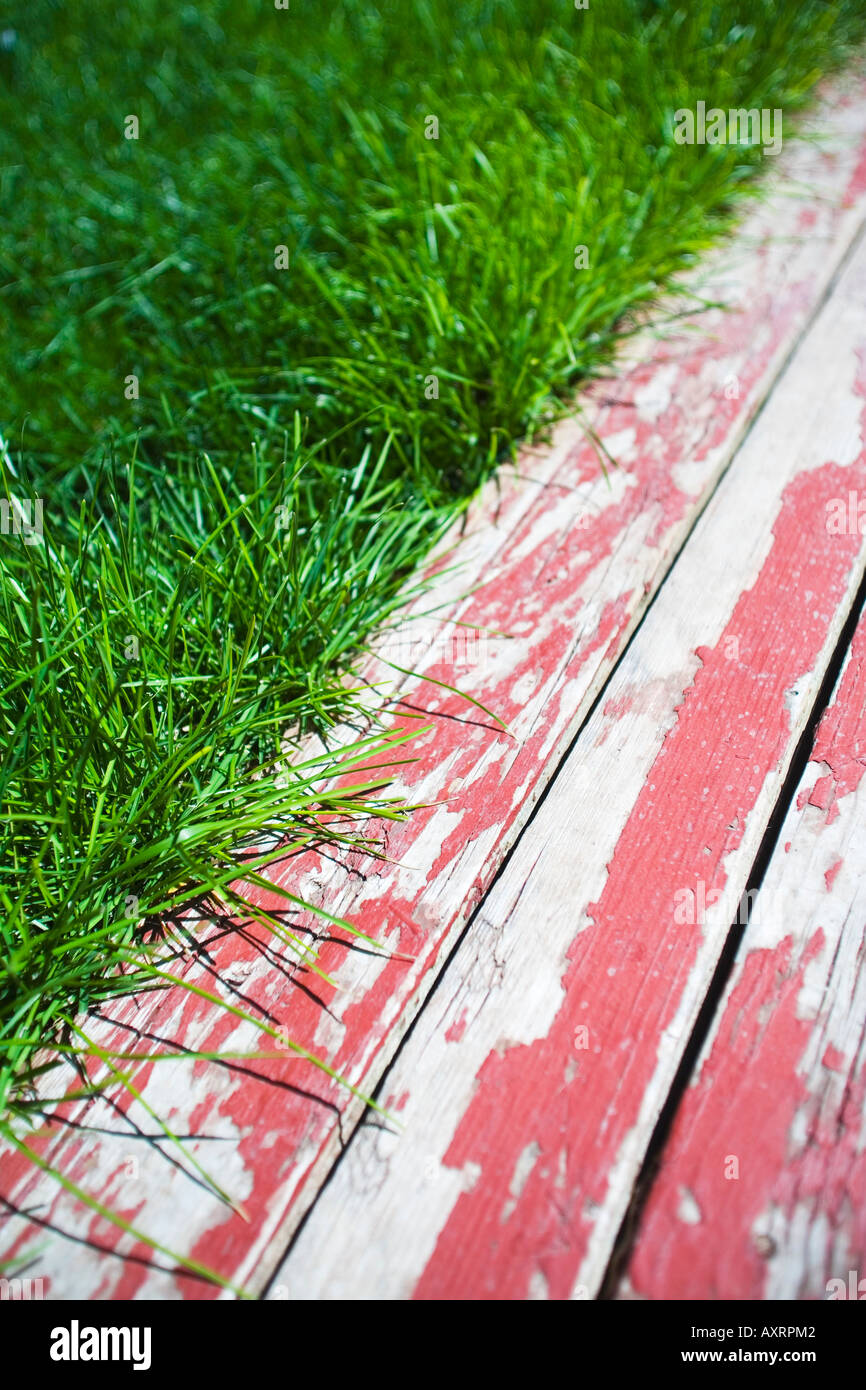 Grass and painted boards Stock Photo - Alamy