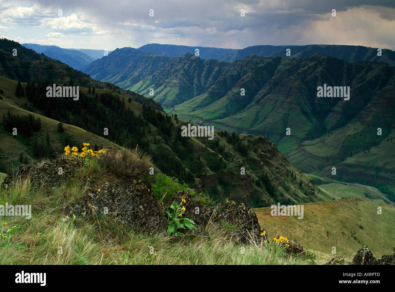 Imnaha Canyon, Hells Canyon National Recreation Area, Oregon, United ...