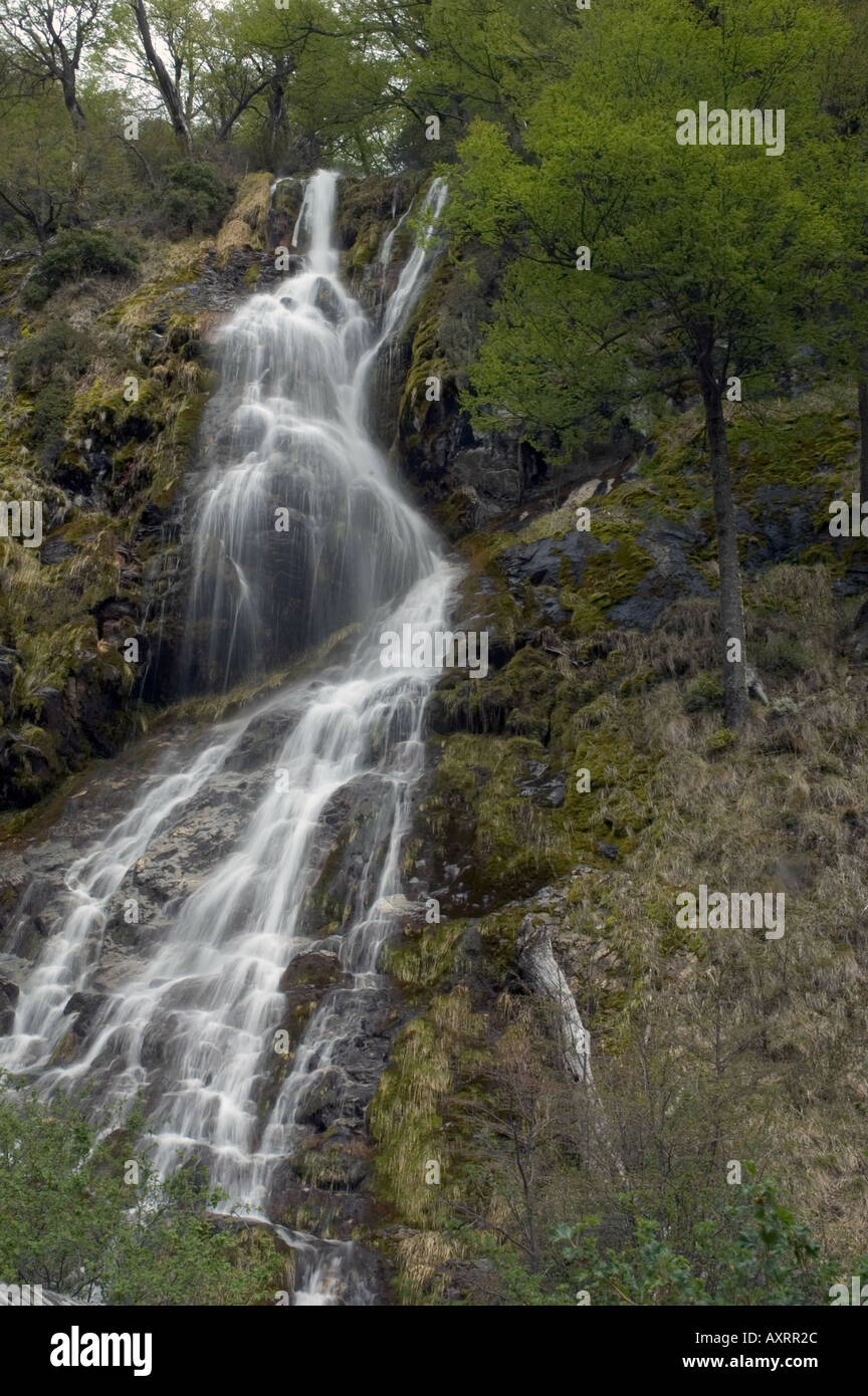 Spout force waterfall hi-res stock photography and images - Alamy