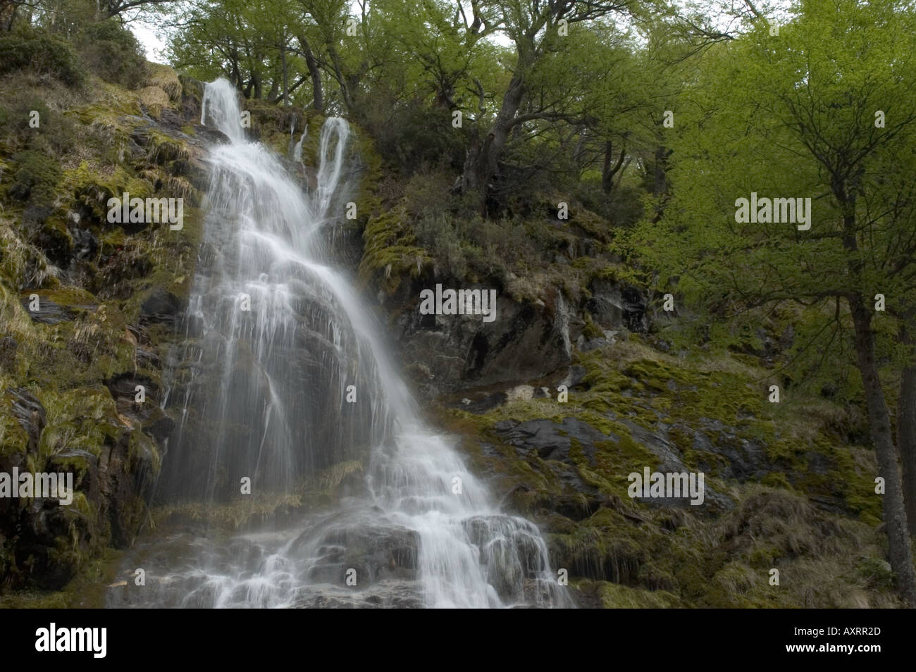 Waterfall in Patagonia, Argentina Stock Photo - Alamy