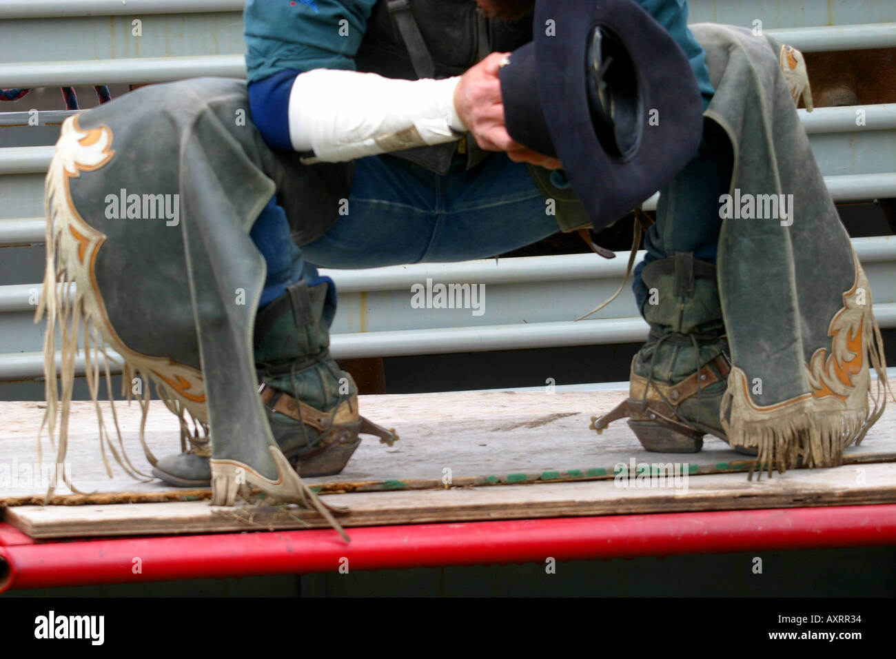 The cowboy doing stretching exercise to get ready for the ride Stock ...