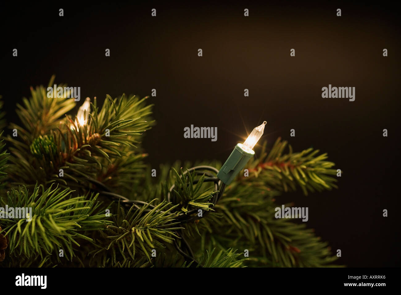 Christmas tree lights Stock Photo - Alamy