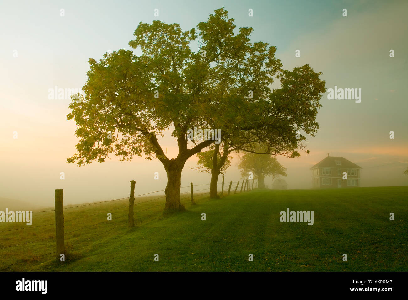 Morning mist, Darlington, Prince Edward Island, Canada Stock Photo - Alamy