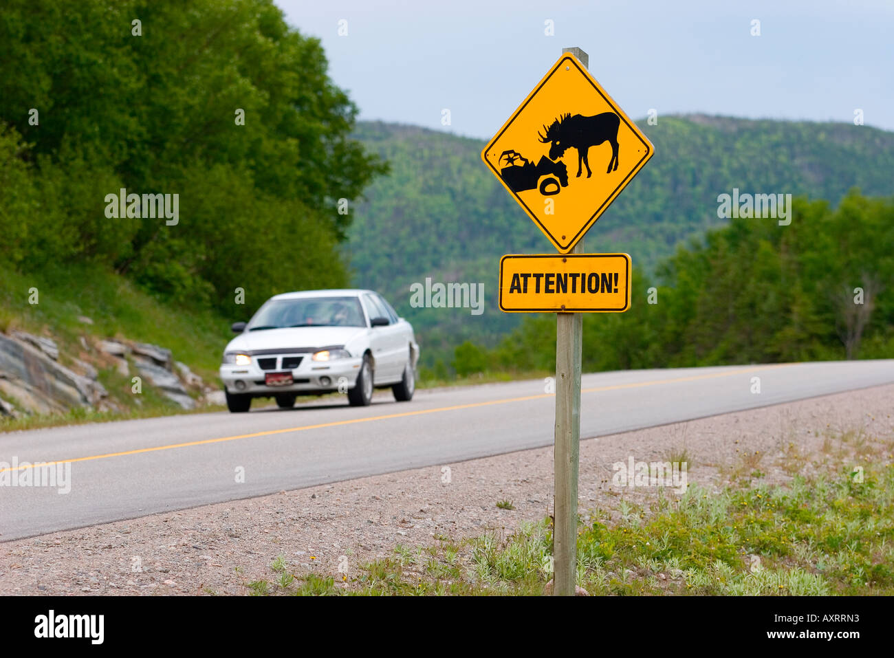 Newfoundland moose road sign hi-res stock photography and images - Alamy