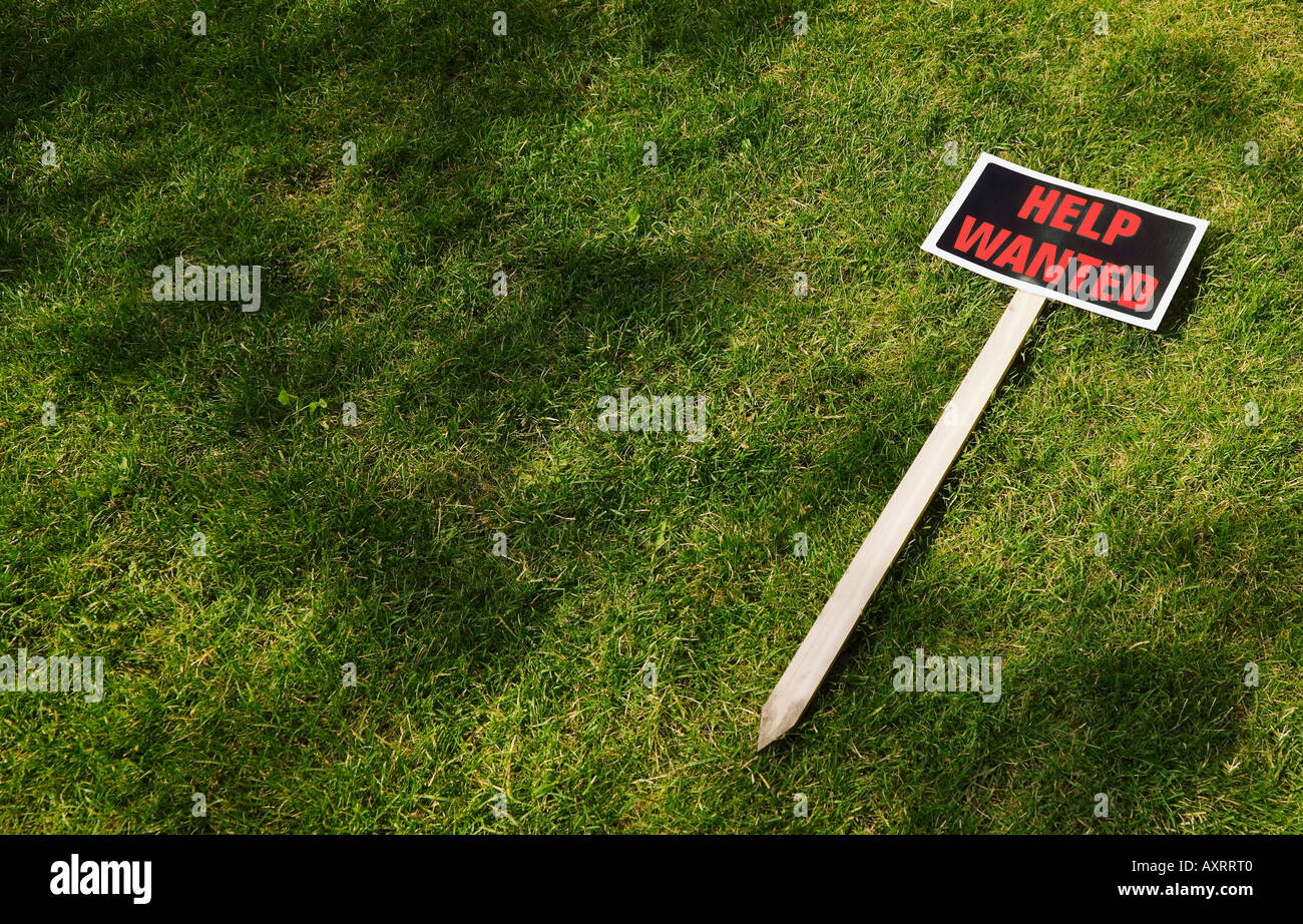 Help wanted sign laying on grass Stock Photo - Alamy