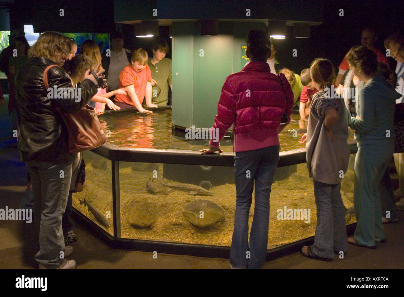Touch feel aquarium hi-res stock photography and images - Alamy