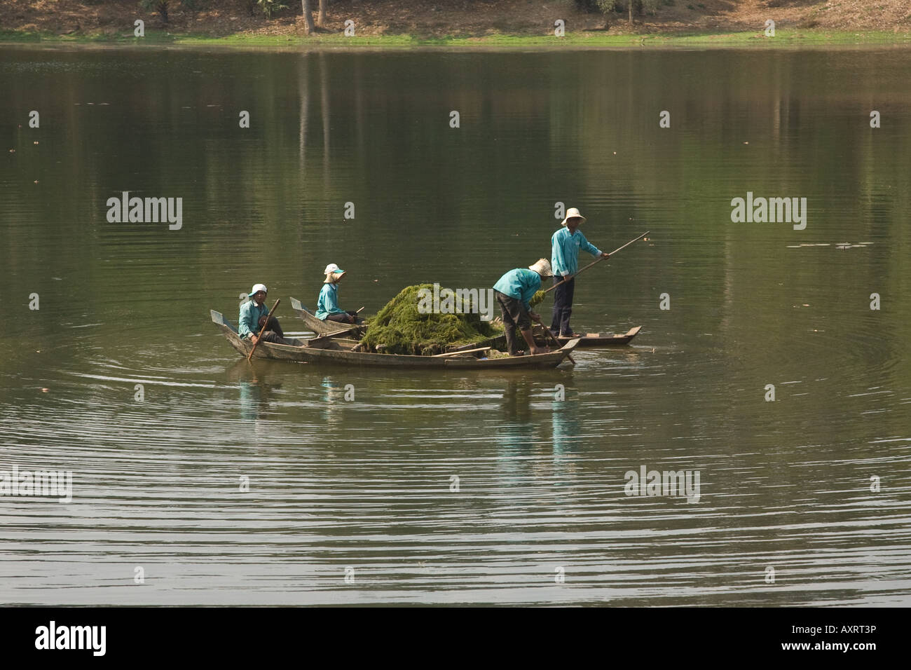 Workers in boats clean the moat at Angkor Wat in Cambodia Stock Photo ...