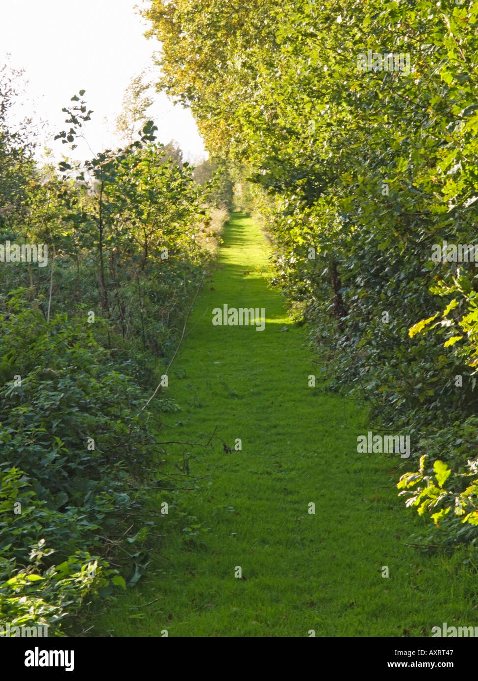 English Country Path Location Norfolk England GB Stock Photo - Alamy