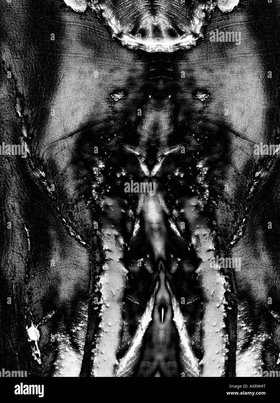 Distortion Stock Photos & Distortion Stock Images - Alamy