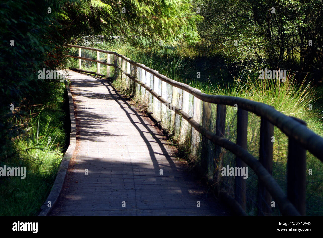 wooden walkway Glendalough Wicklow Ireland Stock Photo - Alamy
