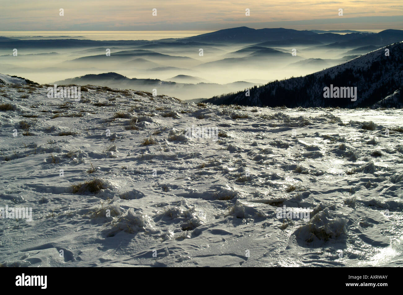 Tatra mountains winter snow bright day blue pink sky forest valley hill ...
