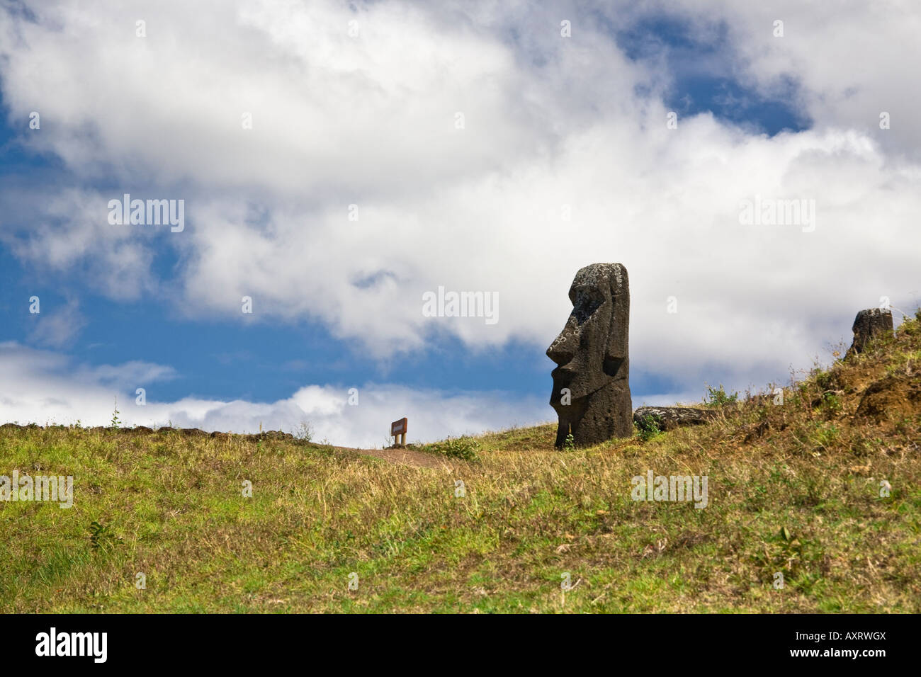 Moai in various stages of completion littered around the hillside of ...