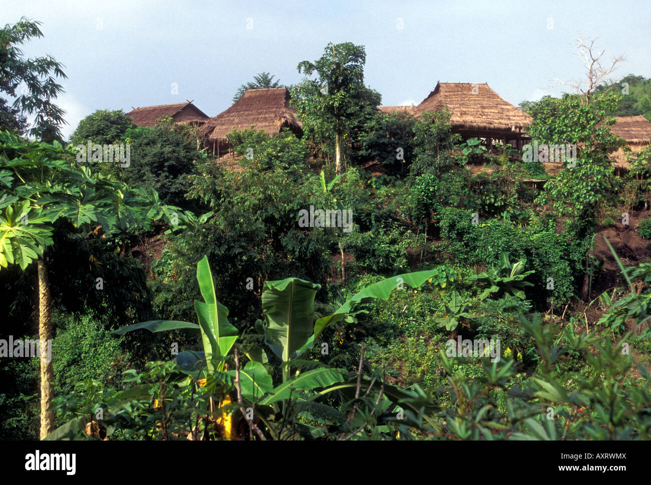 thatched roof homes, thatched roof houses, ethnic minority, hill tribe ...