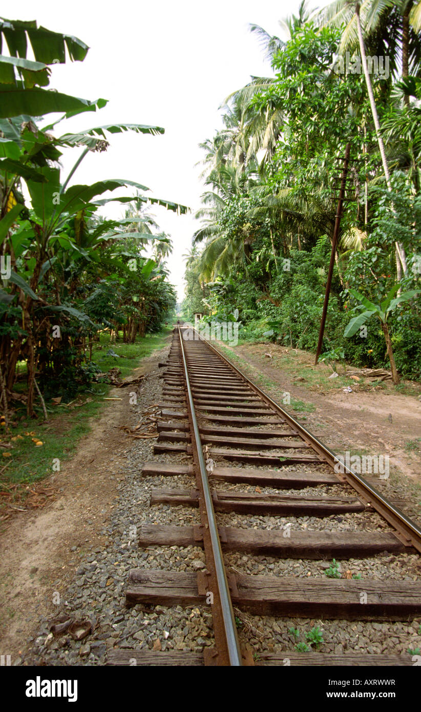 Coastal line sri lanka train hi-res stock photography and images - Alamy
