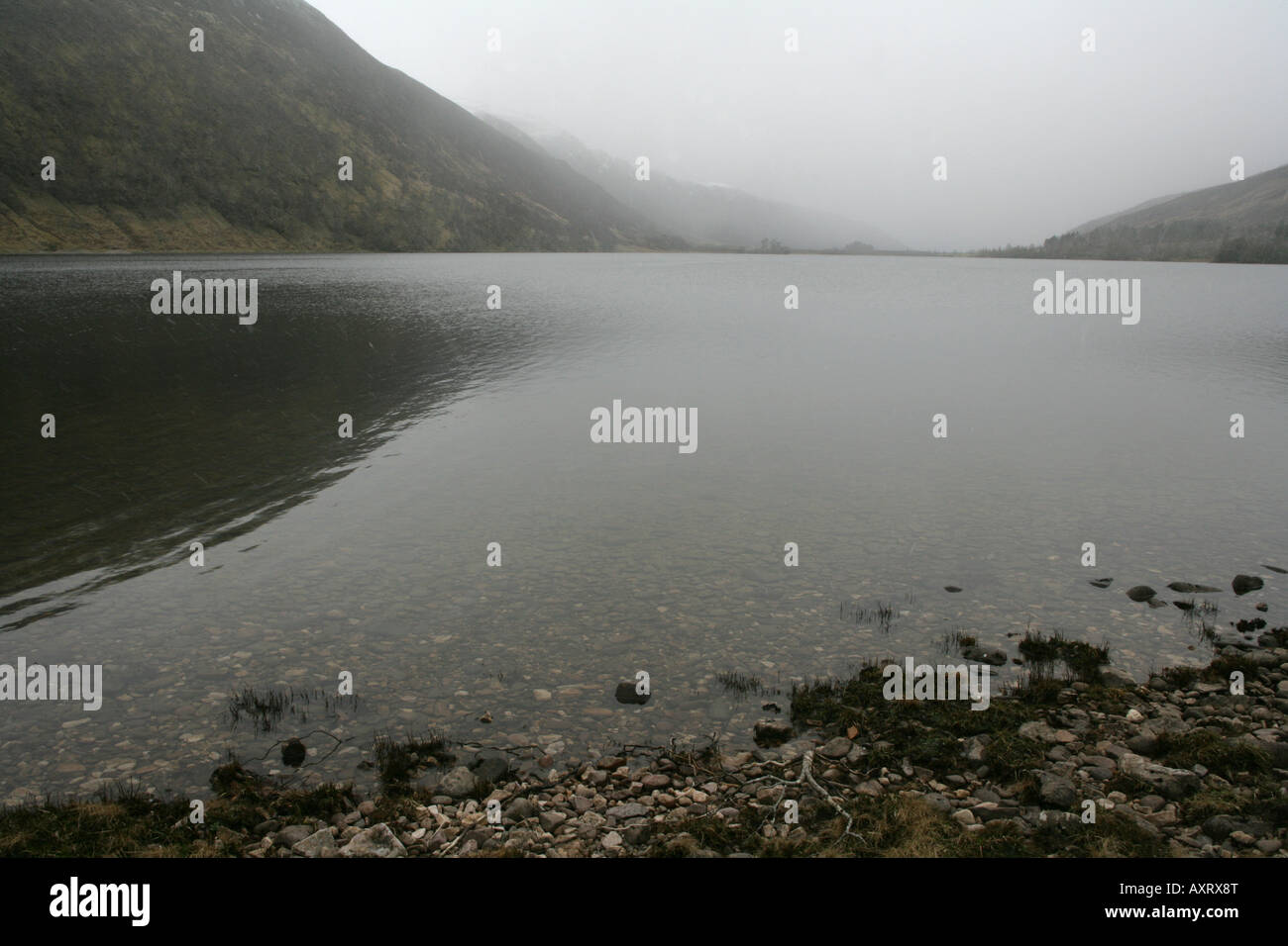 Loch Carron in Scotland Stock Photo - Alamy