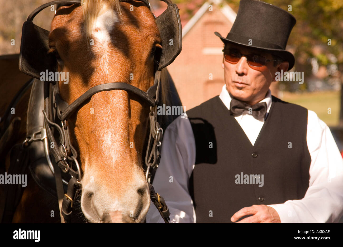 Handsome cab driver with horse and carriage at Old Salem, North ...