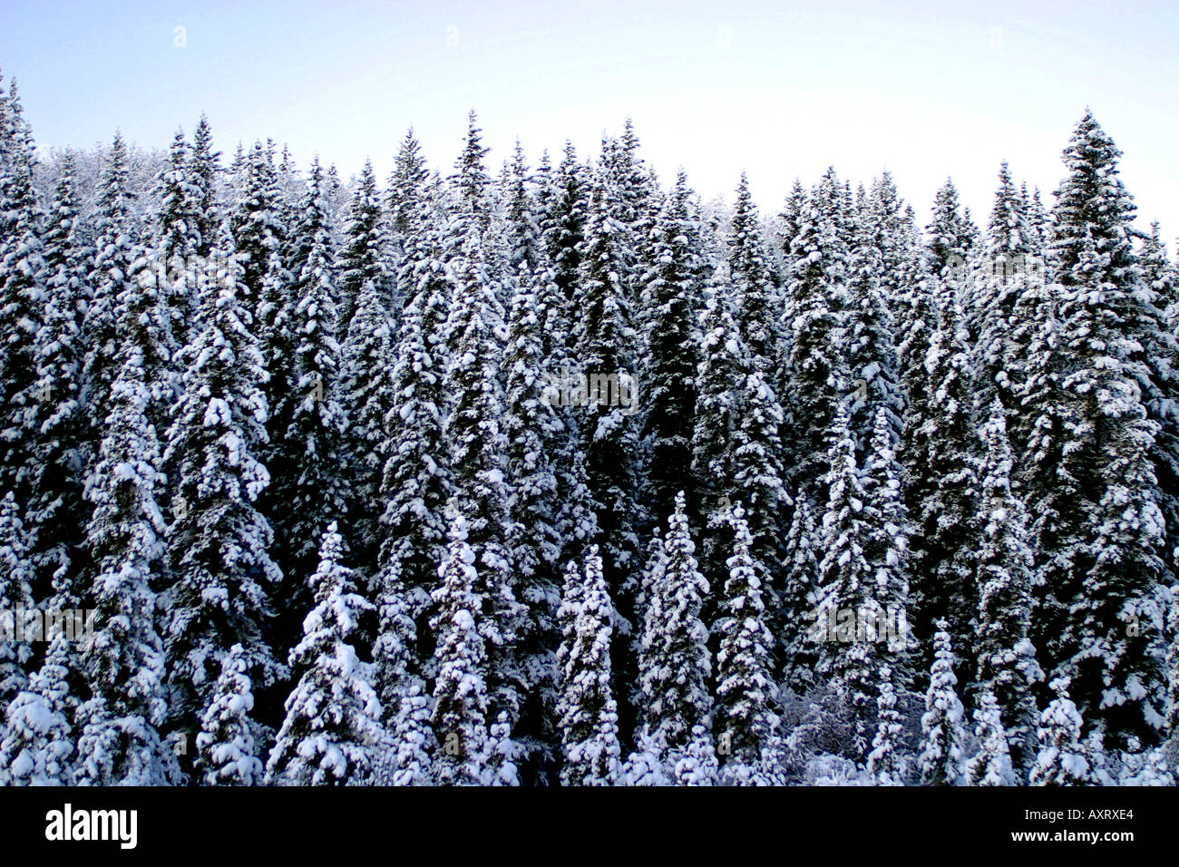 LANDSCAPE ; Banff National Park, Alberta, Canada Stock Photo - Alamy
