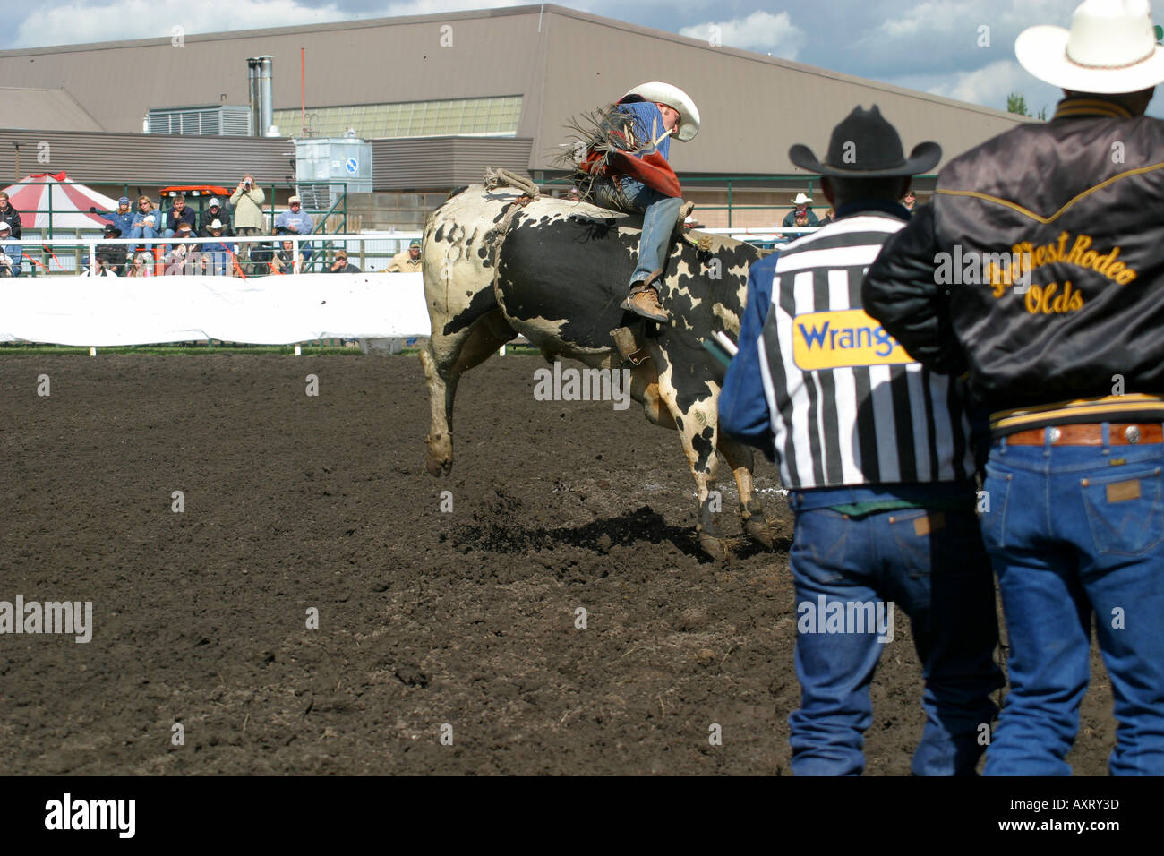 BULL RIDING. Cowboys pitting their skills against rough and vicious ...