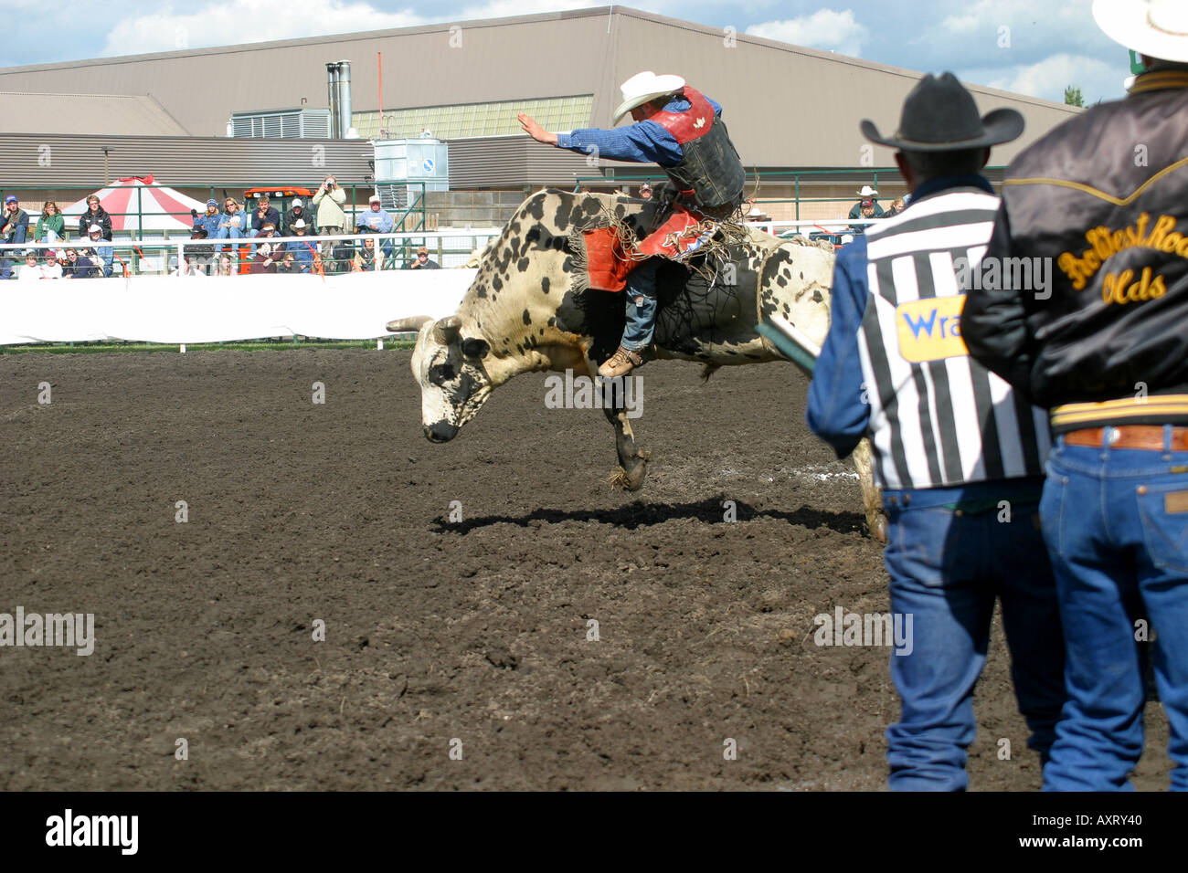BULL RIDING. Cowboys pitting their skills against rough and vicious ...