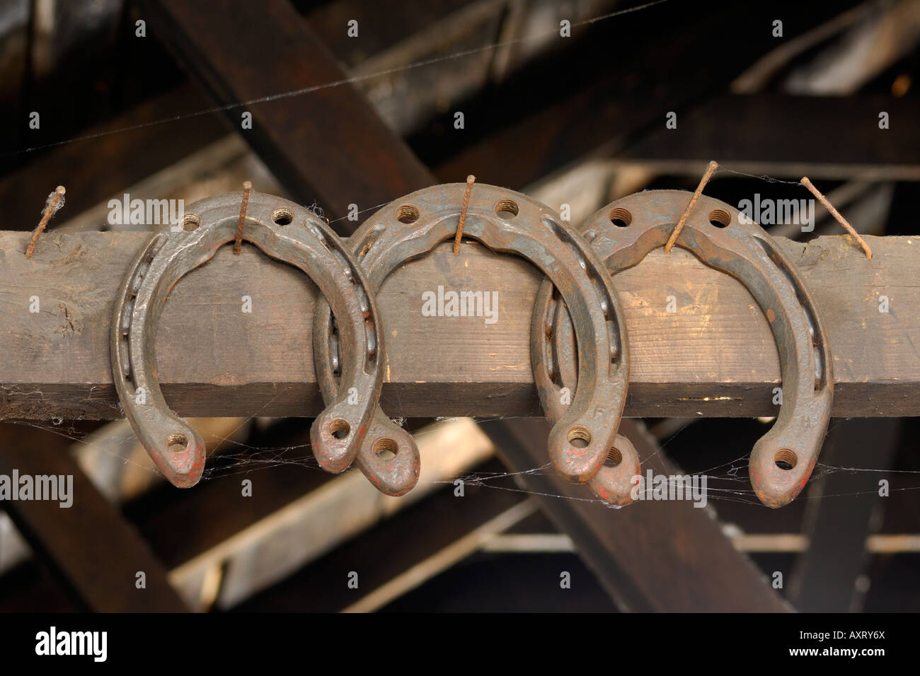 Hanging From The Rafters High Resolution Stock Photography and Images ...