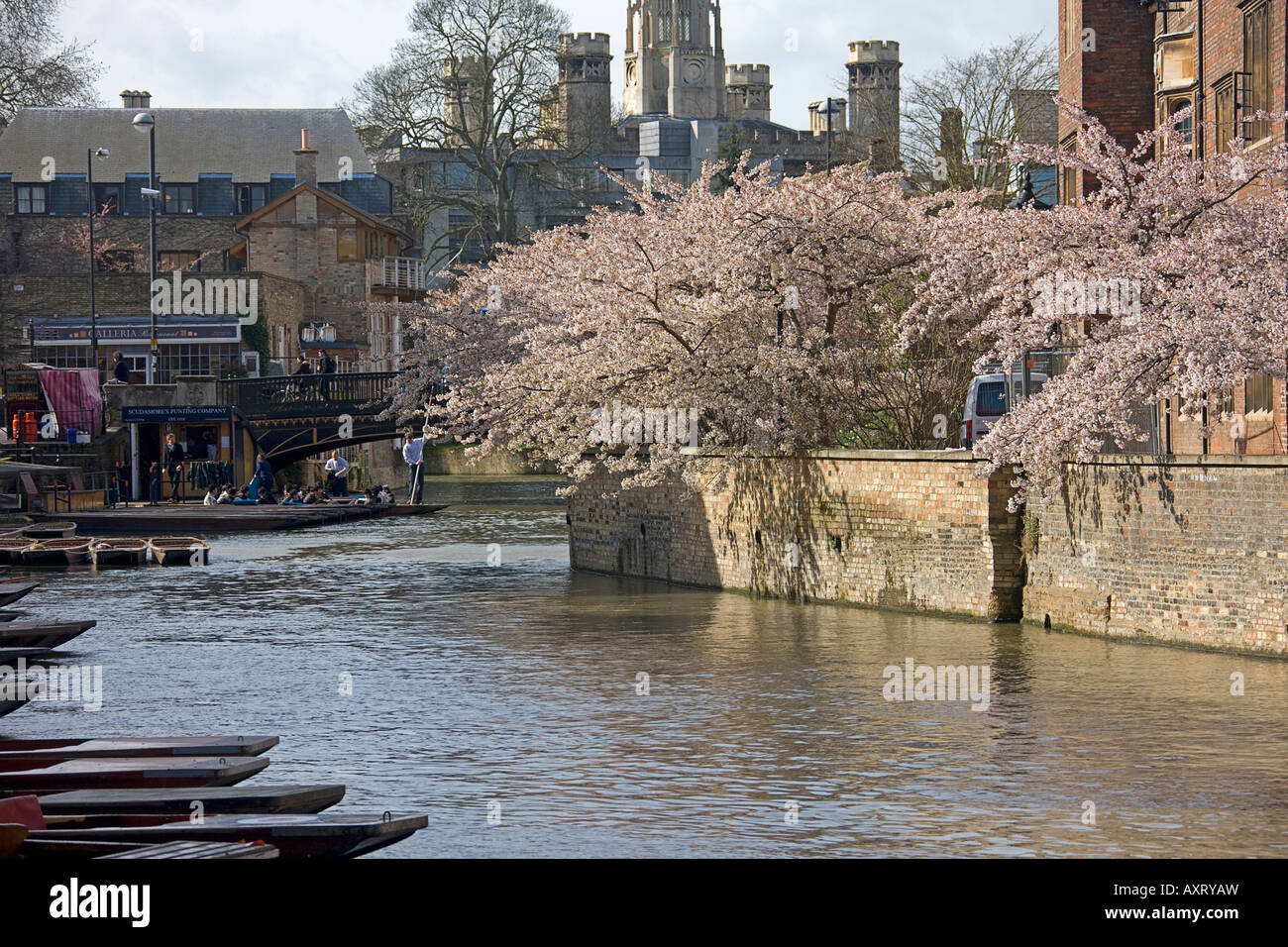 Cambridge in bloom cambridgeshire natures colours hi-res stock ...