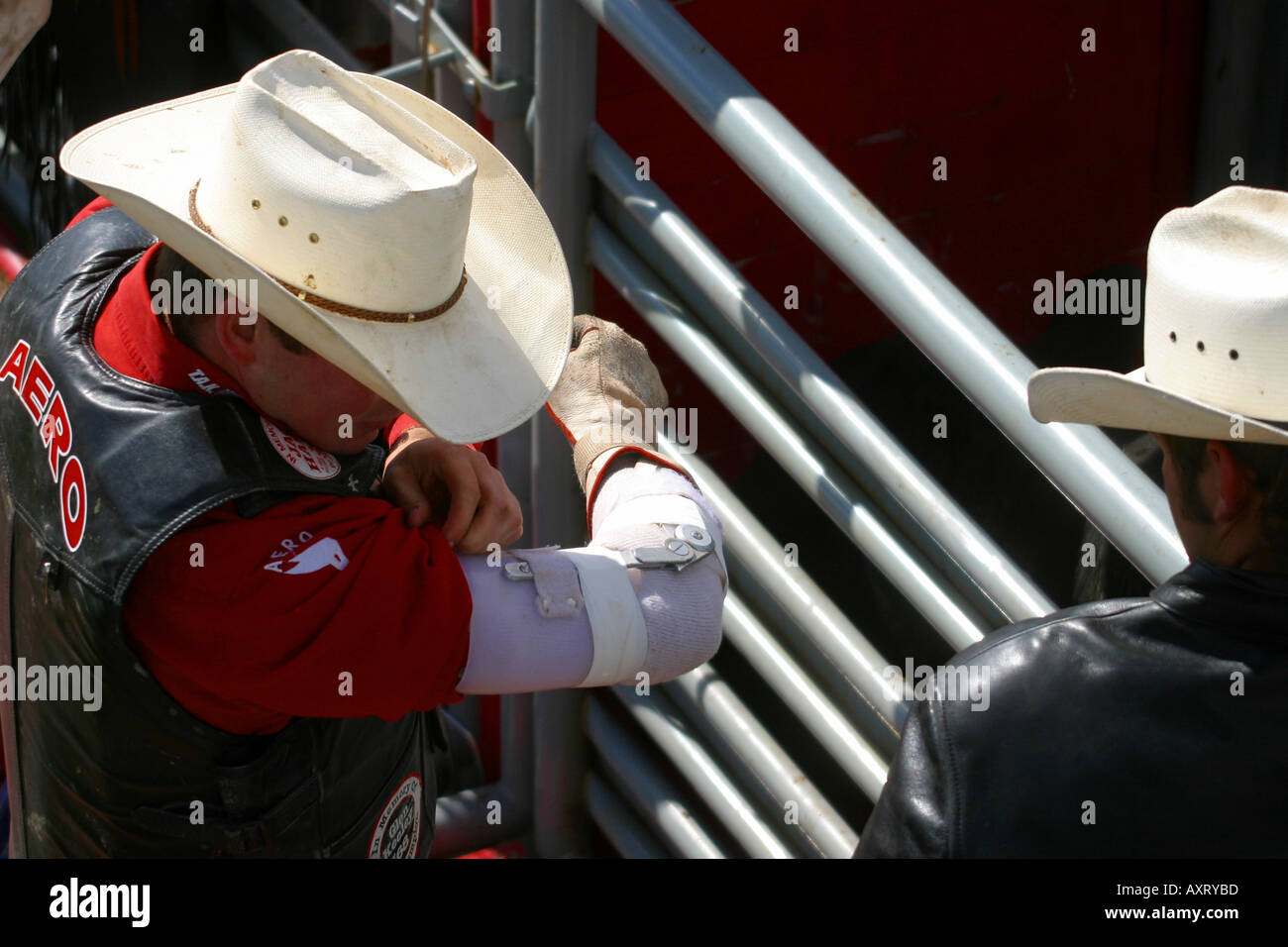 Rodeo, Alberta, Canada, Bull Riding, In the chute. Cowboys pitting ...