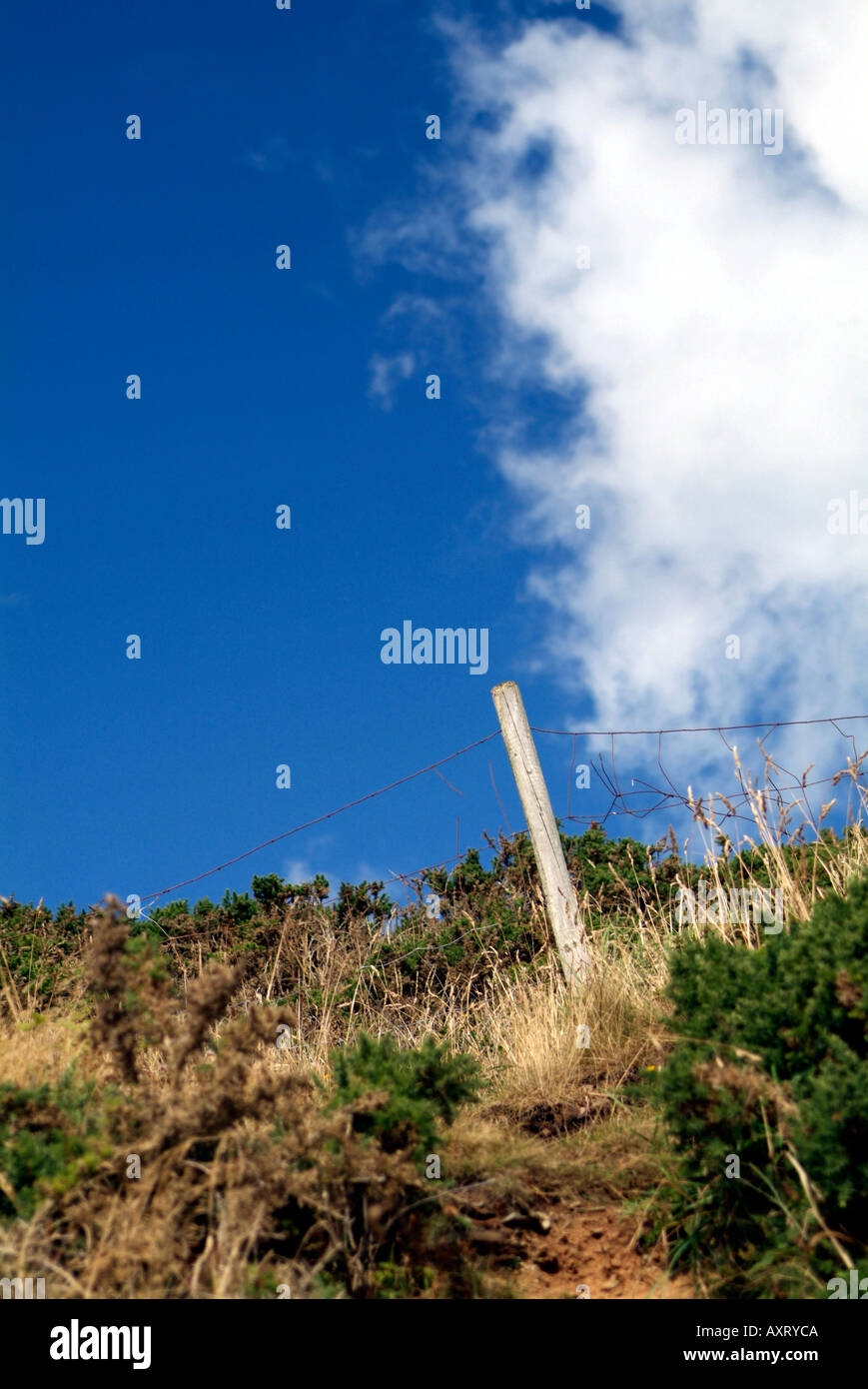 post stuck in ground Stock Photo - Alamy
