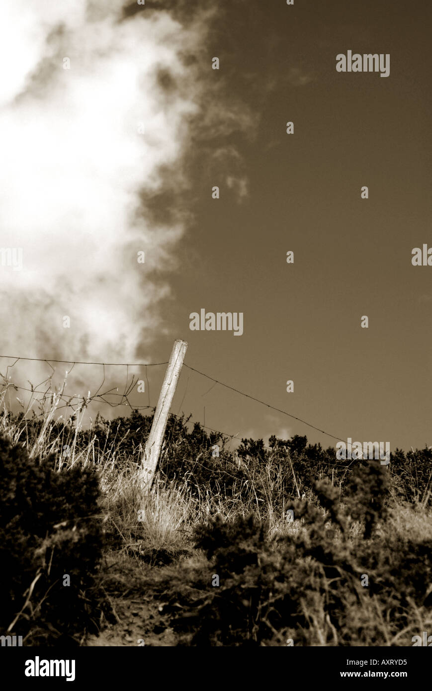 post stuck in ground Stock Photo - Alamy