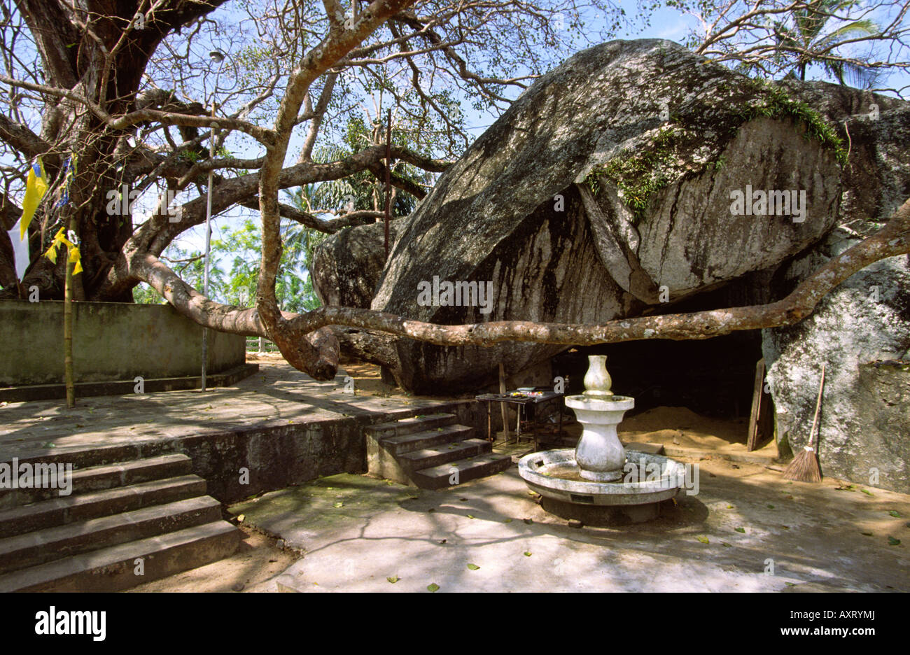 Sri Lanka Unawatuna sacred Bo tree outside small local Buddhist Temple ...