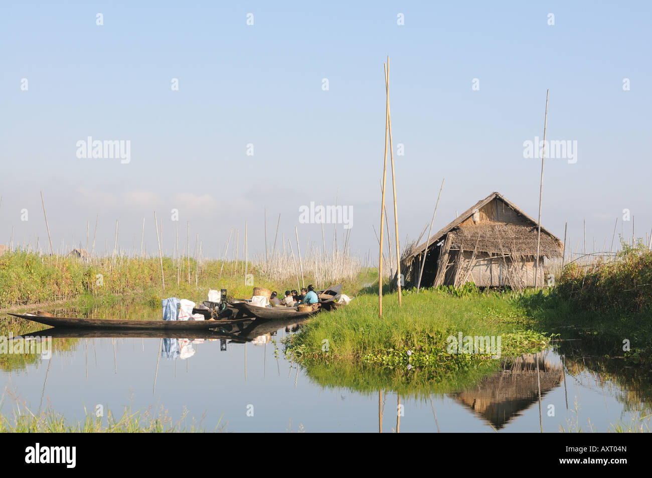 Floating fields on the Inle lake Myanmar Stock Photo - Alamy
