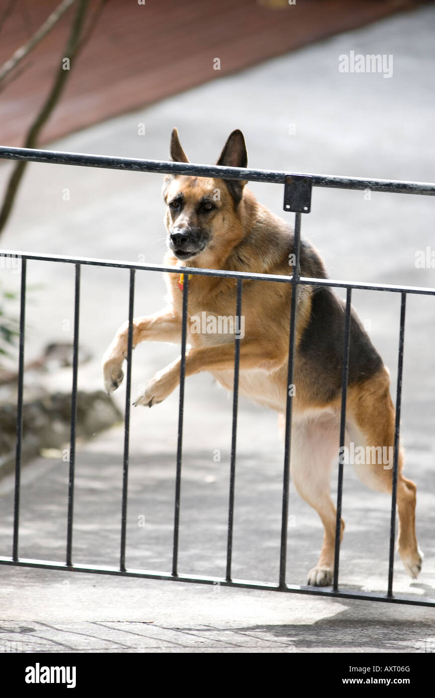 Rob shephard hi-res stock photography and images - Alamy