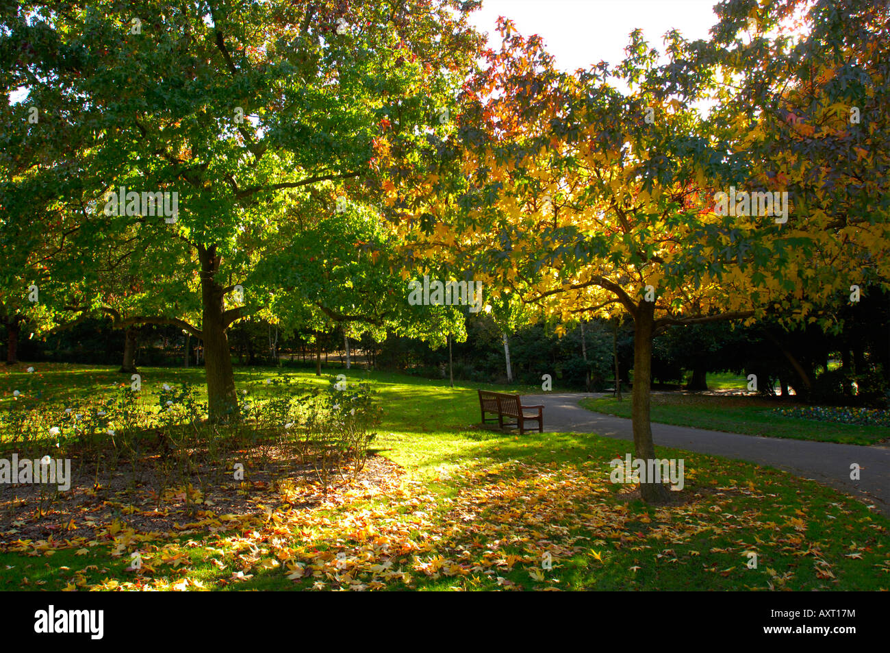 Priory Park, Crouch End, London Stock Photo - Alamy