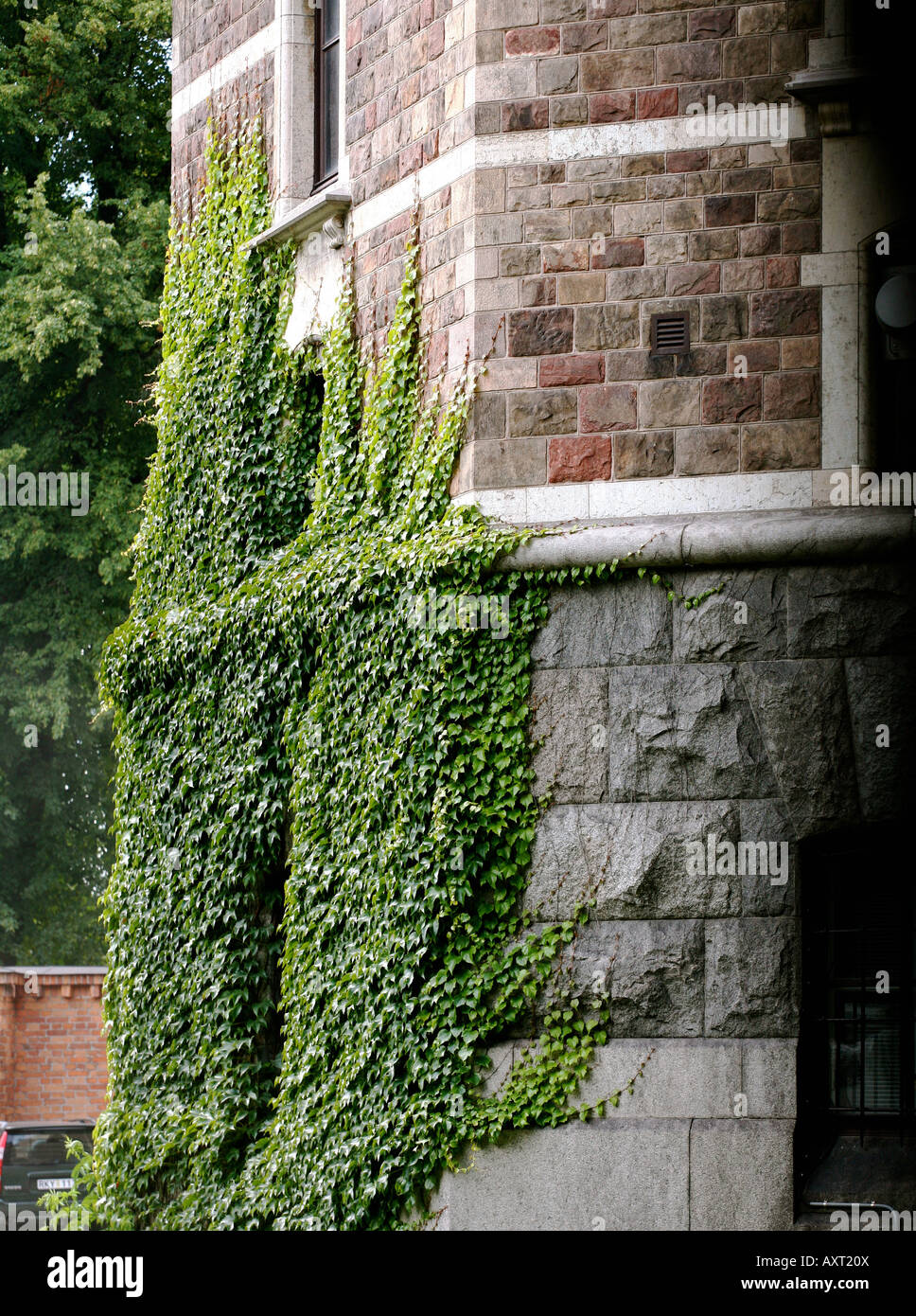 Vines grow up the side of historic building Stock Photo - Alamy