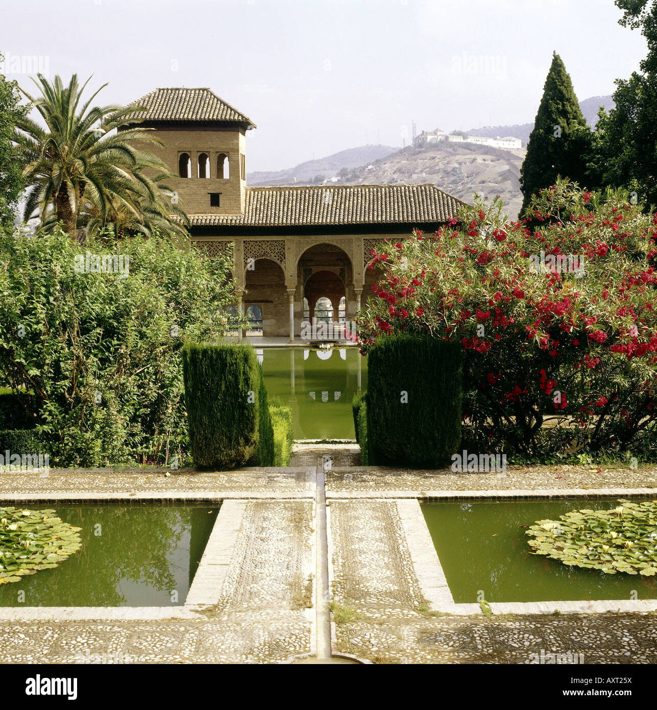 Torre damas hi-res stock photography and images - Alamy