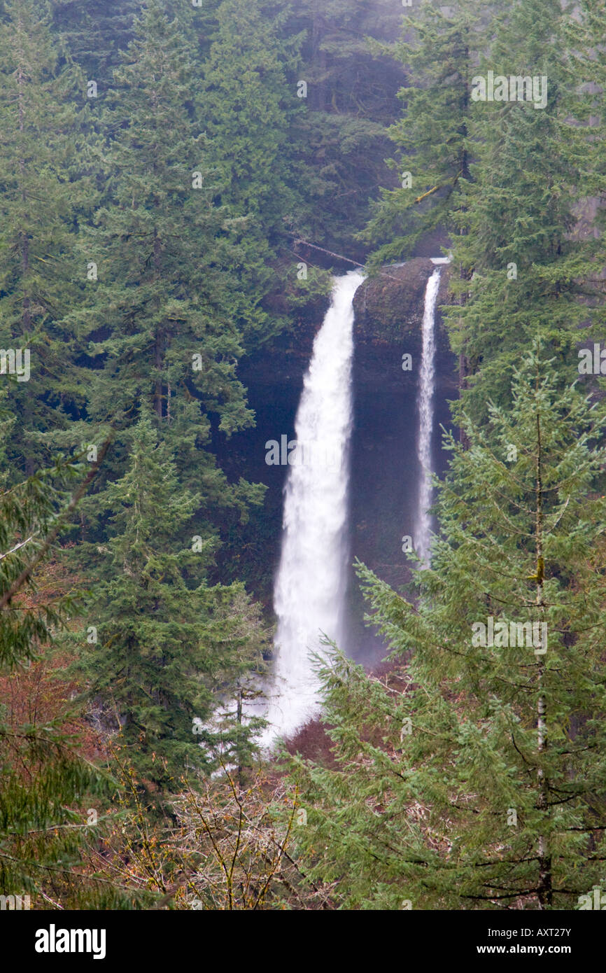 Usa silver falls park winter hi-res stock photography and images - Alamy