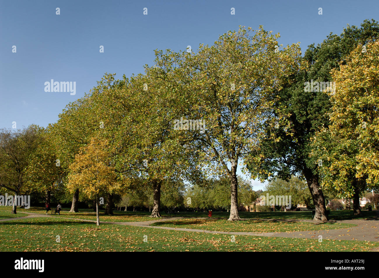 Priory Park, Crouch End, London Stock Photo - Alamy