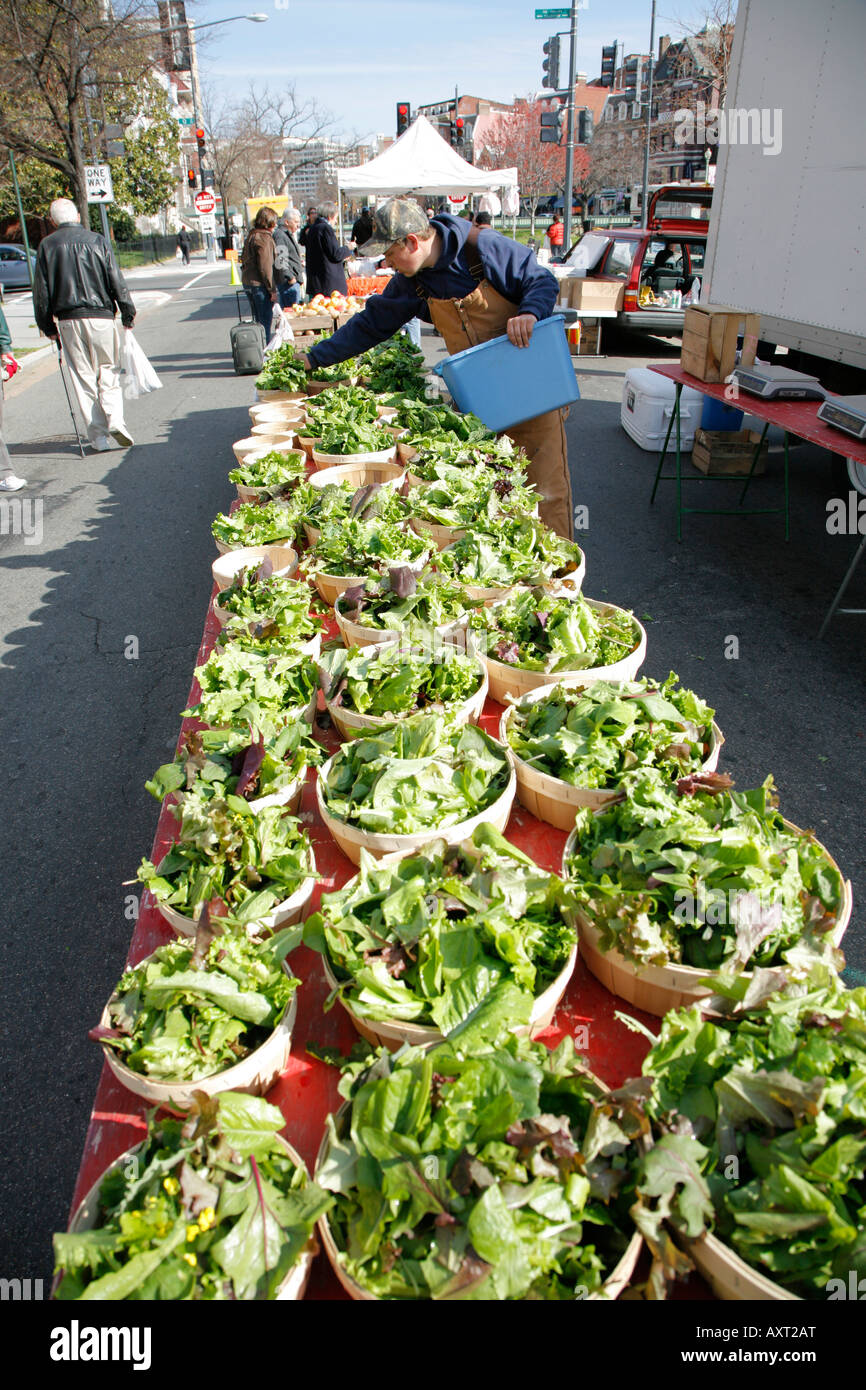Vegetable Stall, Farmer's market, Dupont Circle, Washington DC, USA ...
