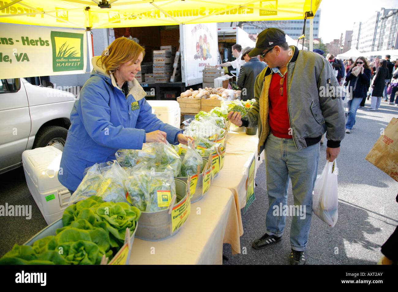 Vegetable Stall, Farmer's market, Dupont Circle, Washington DC, USA ...