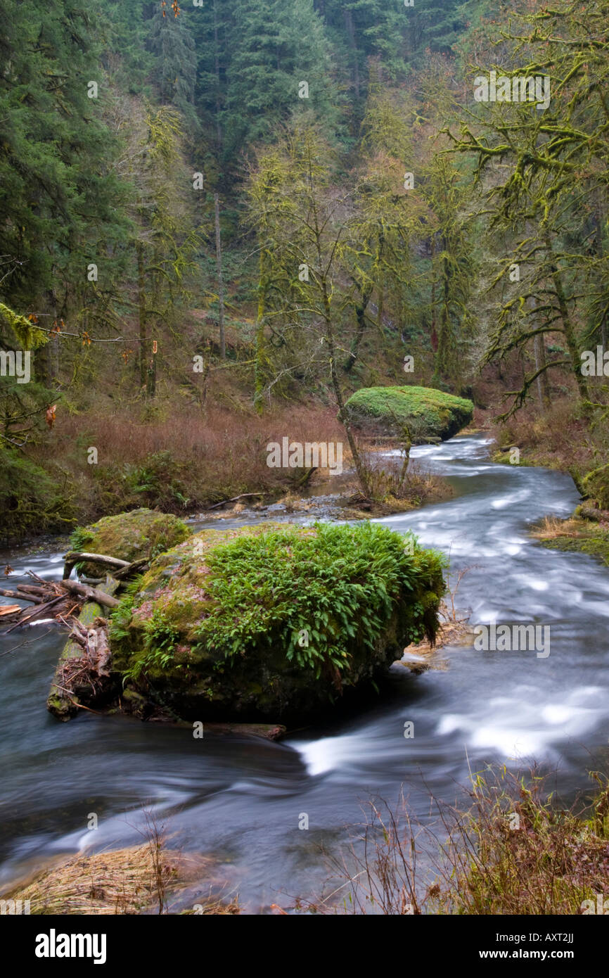 North Fork Silver Creek river Silver Falls State Park Oregon USA Stock ...