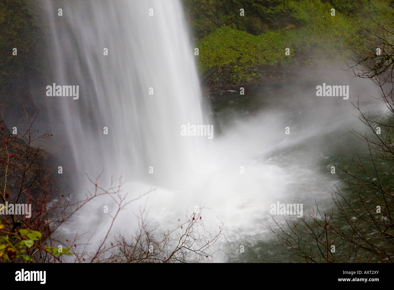 South Falls Silver Falls State Park Oregon USA Stock Photo - Alamy