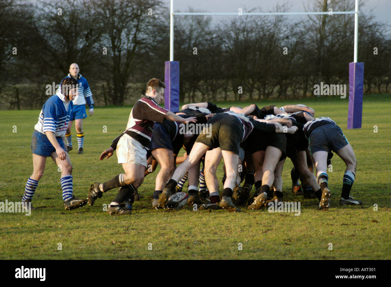 Scrum down in rugby union football Stock Photo - Alamy